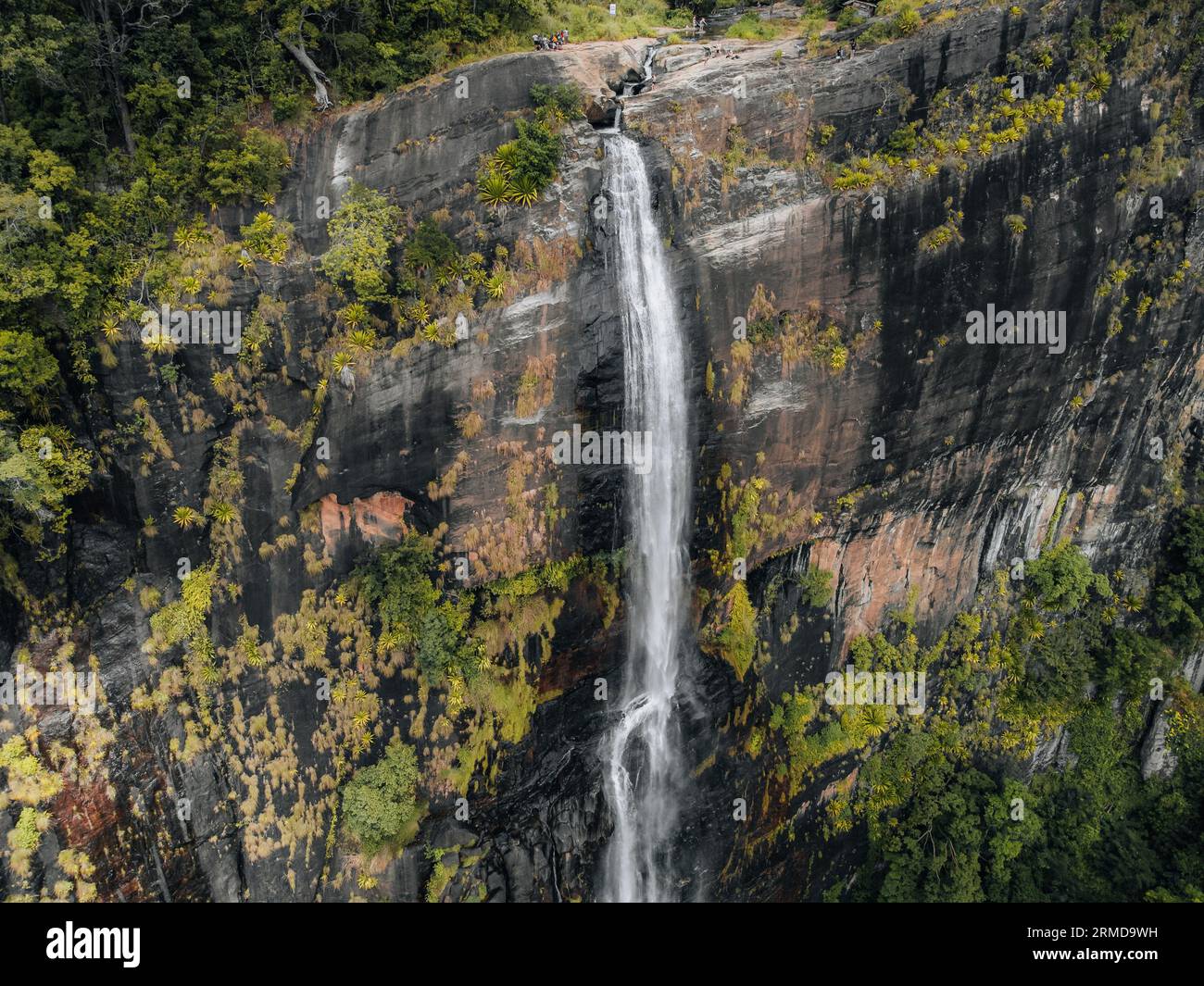 Aerial Photo of Diyaluma falls Waterfall in jungle of Ella Sri Lanka ...