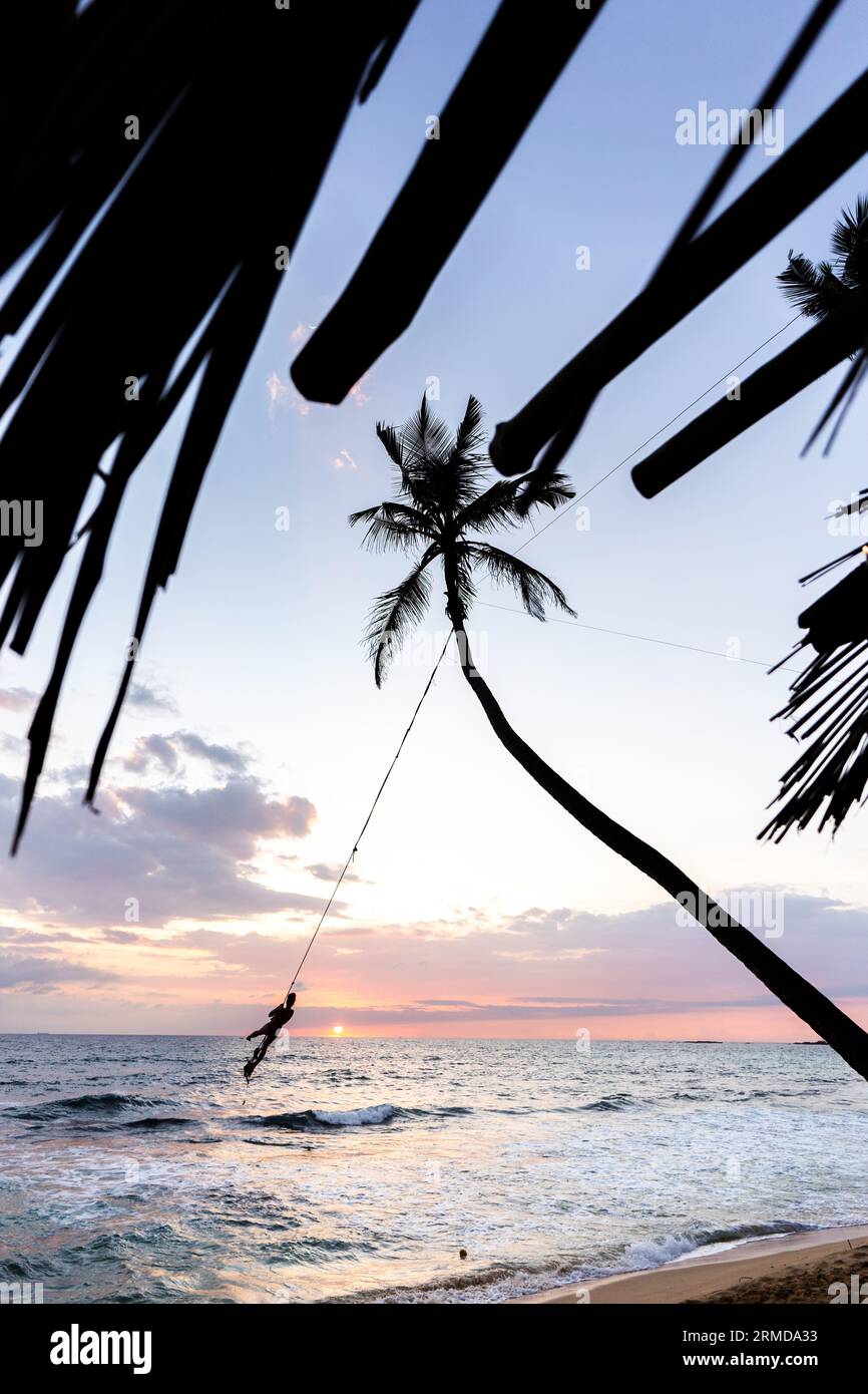 Palm tree swing above ocean at Dalawella Beach, Unawatuna, Sri Lanka ...