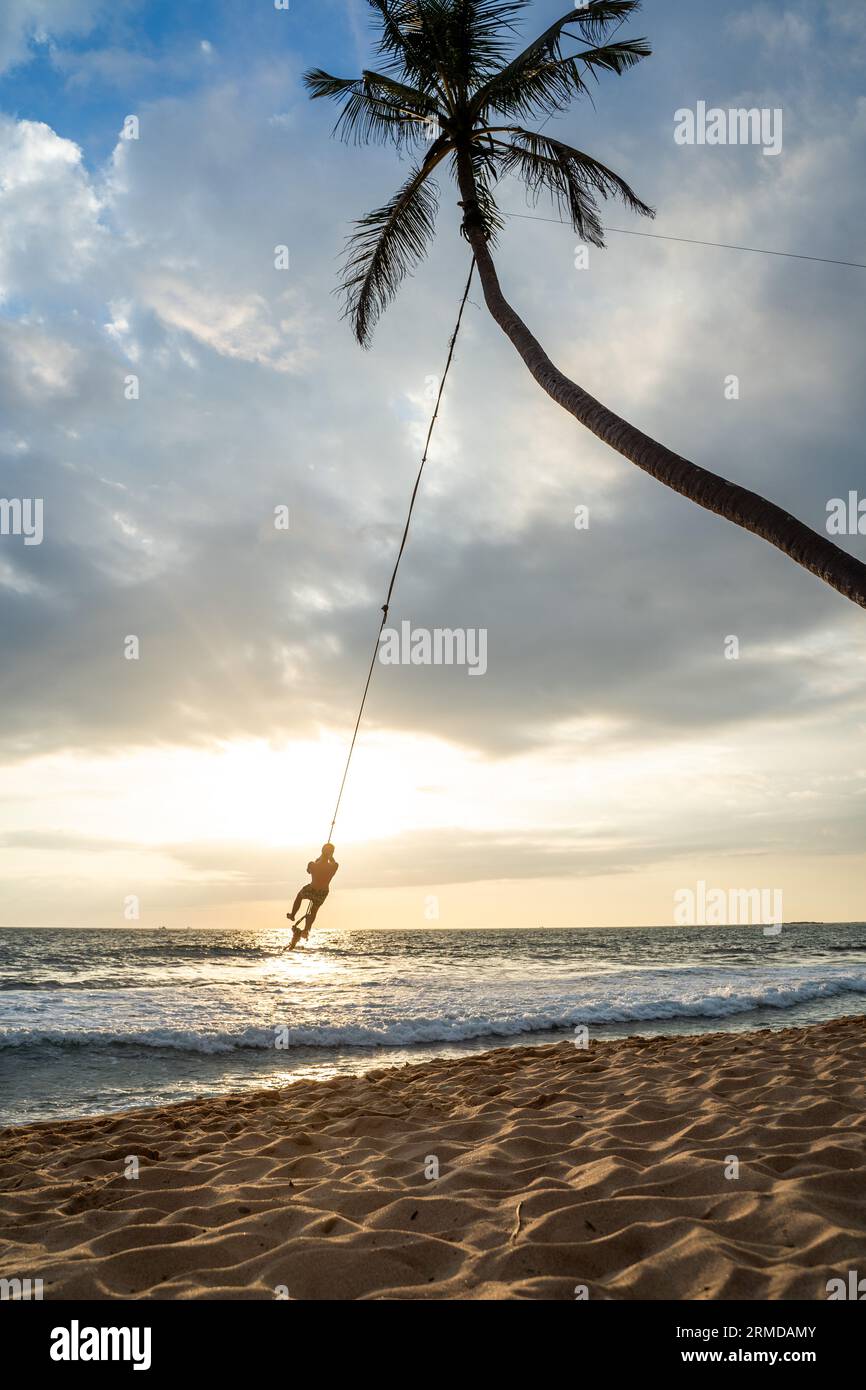 Palm tree swing above ocean at Dalawella Beach, Unawatuna, Sri Lanka ...