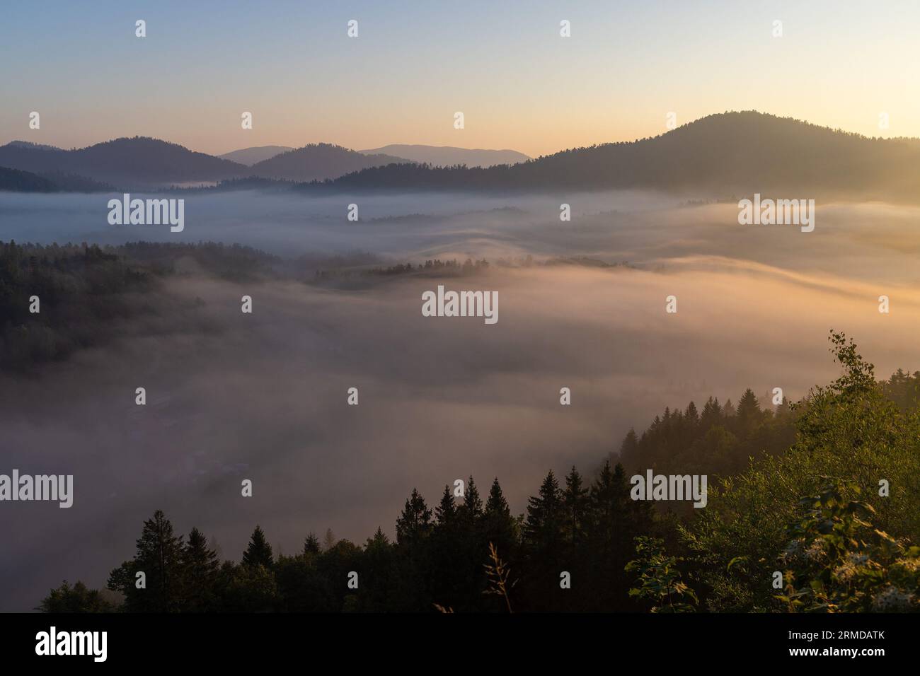 Golden light mist hi-res stock photography and images - Alamy