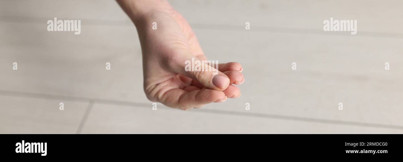 Five animal exercises hi-res stock photography and images - Alamy