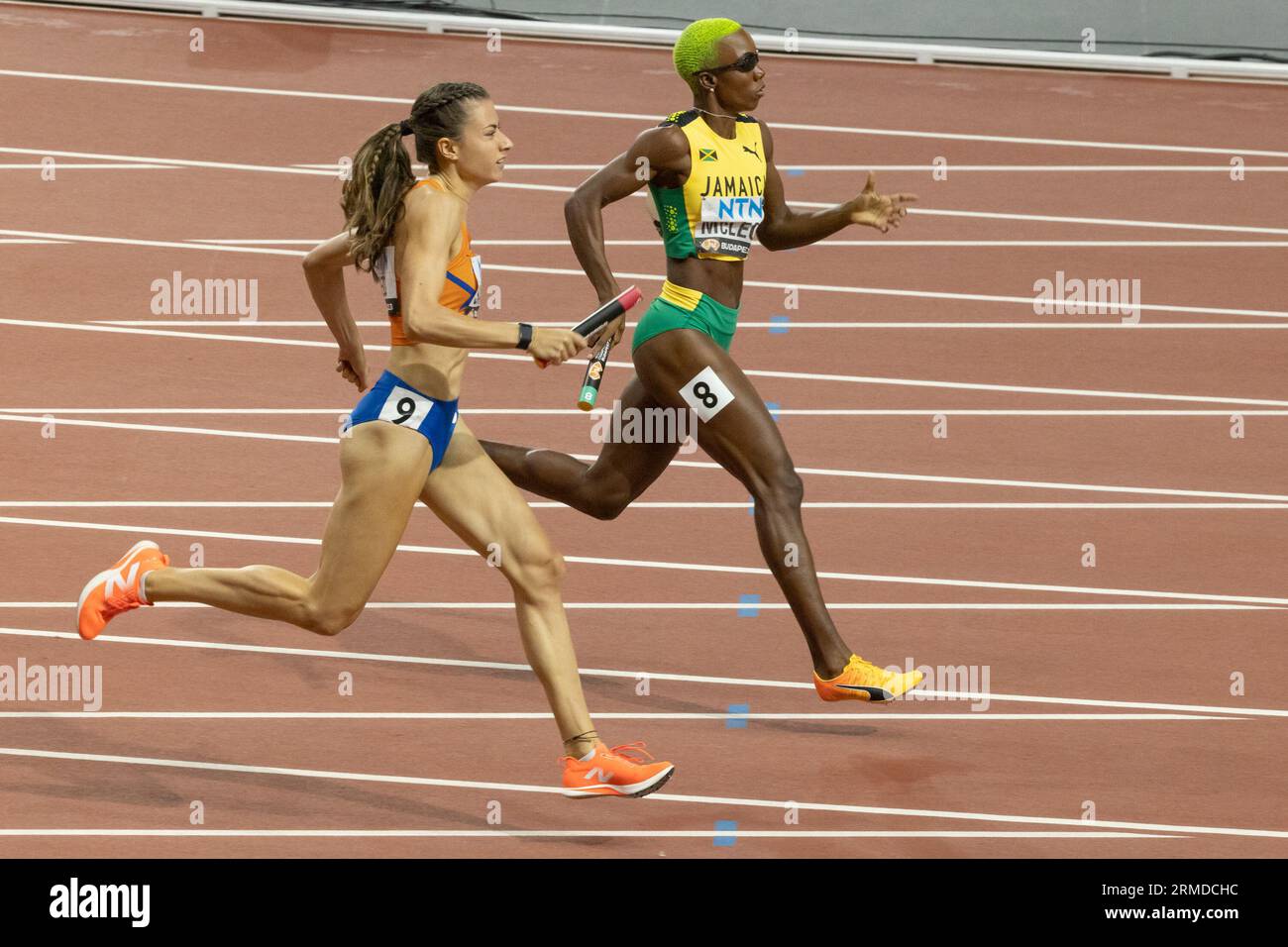 Eveline saalberg hi-res stock photography and images - Alamy