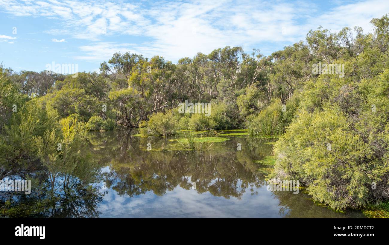 Herdsmans Lake is a freshwater lake located on the Swan Coastal Plain ...