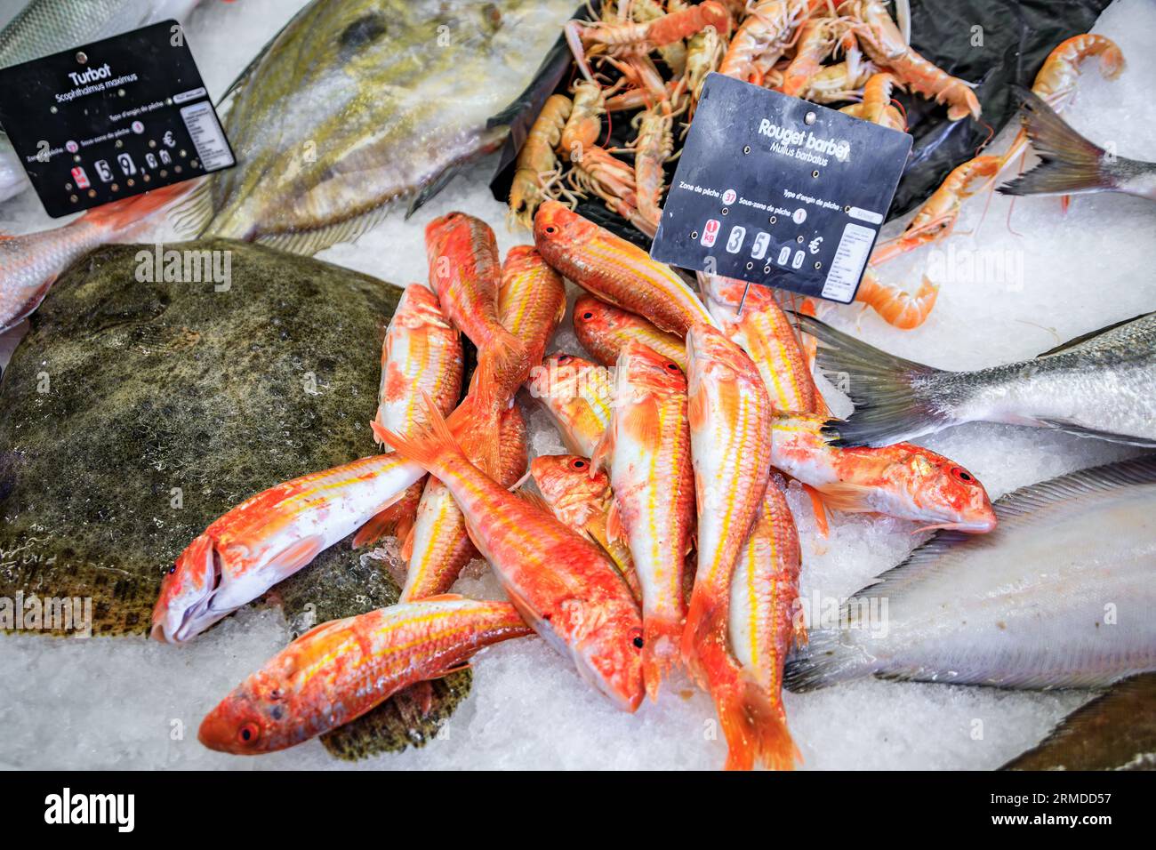Freshly caught striped red mullet fish on display at the fish market in ...