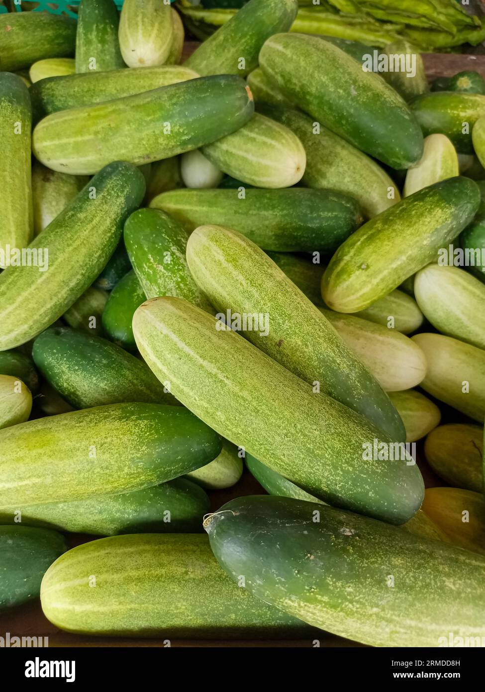 Green cucumber on supermarket shelf, organic food, farm produce, retail ...