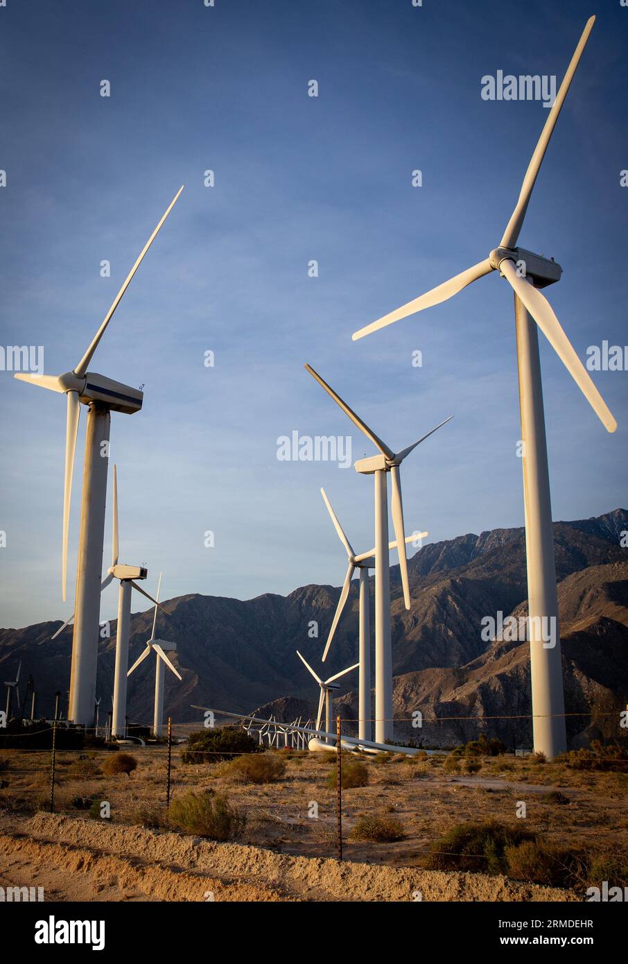 Electric Generating Wind Mills in the morning Stock Photo - Alamy