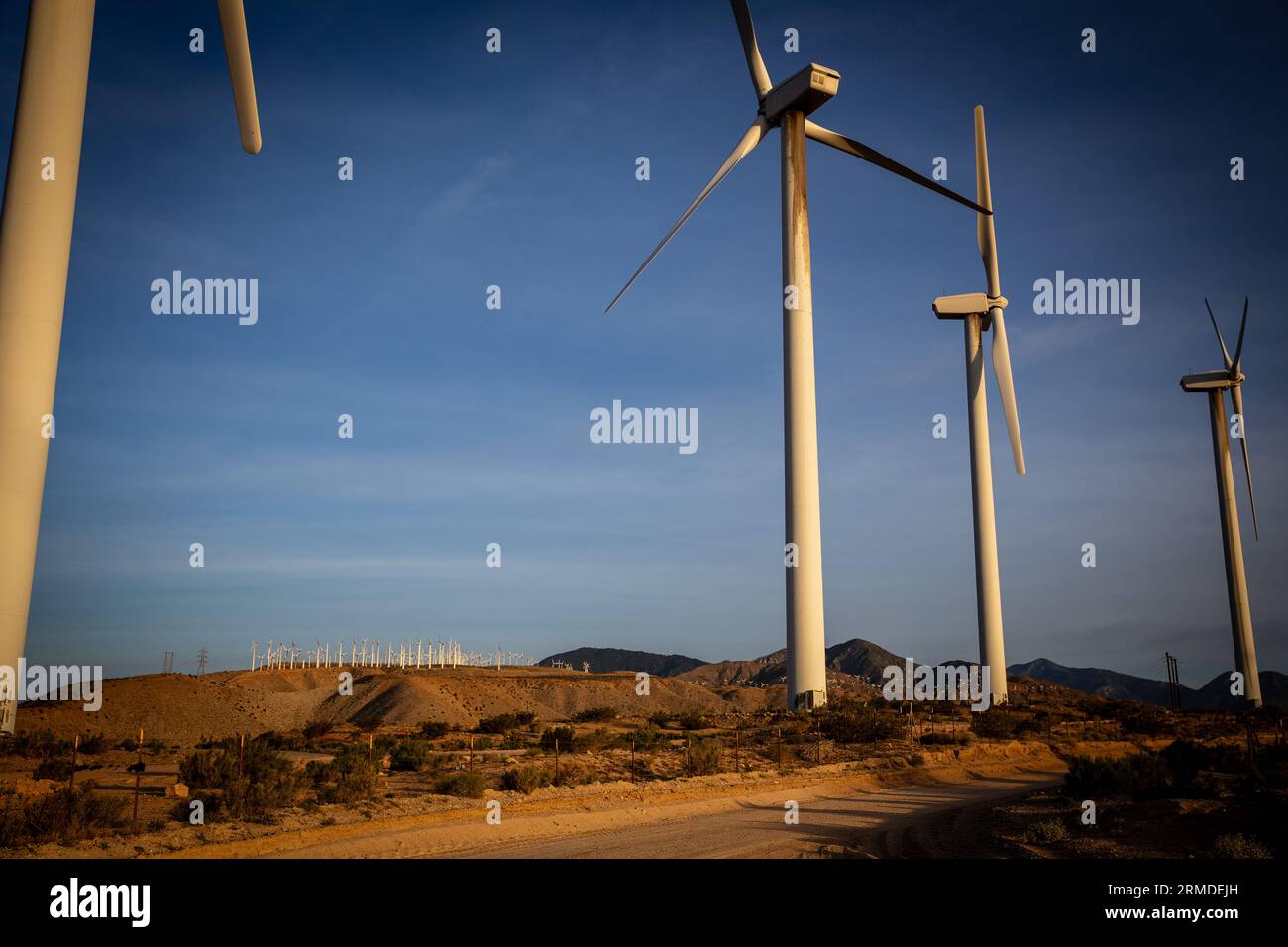 Wind turbines in the desert at sunrise in California Stock Photo - Alamy