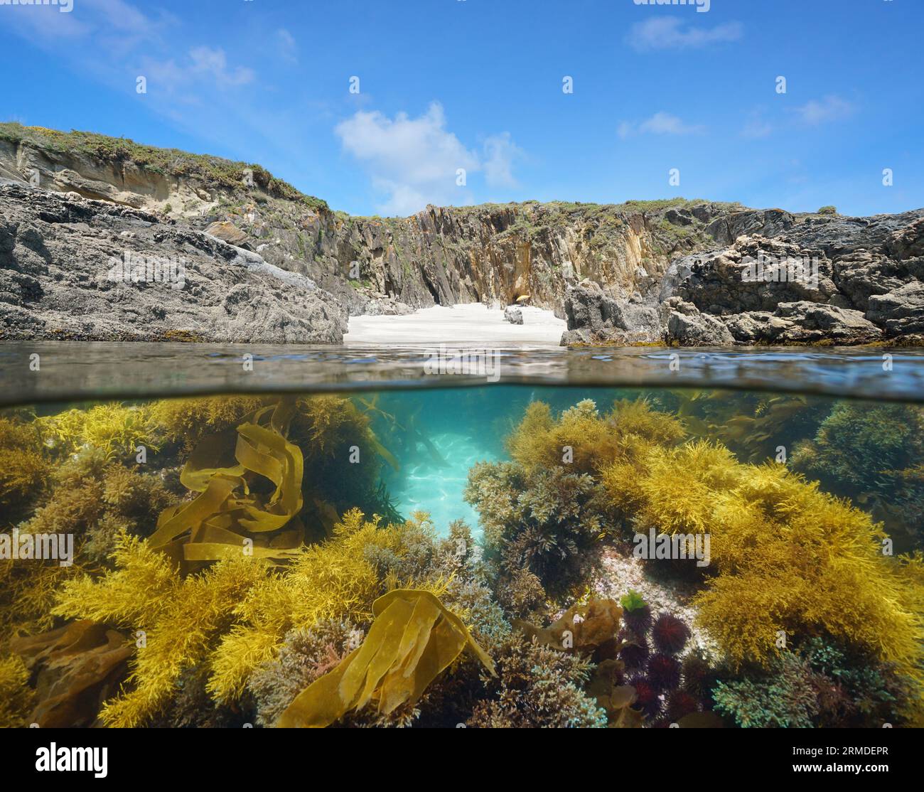 Rocky coastline with a sandy beach and algae underwater, Atlantic ocean ...