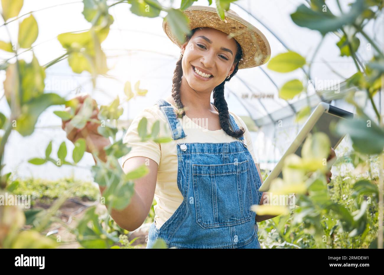 Woman, gardening and tablet in greenhouse for agriculture, check plants ...