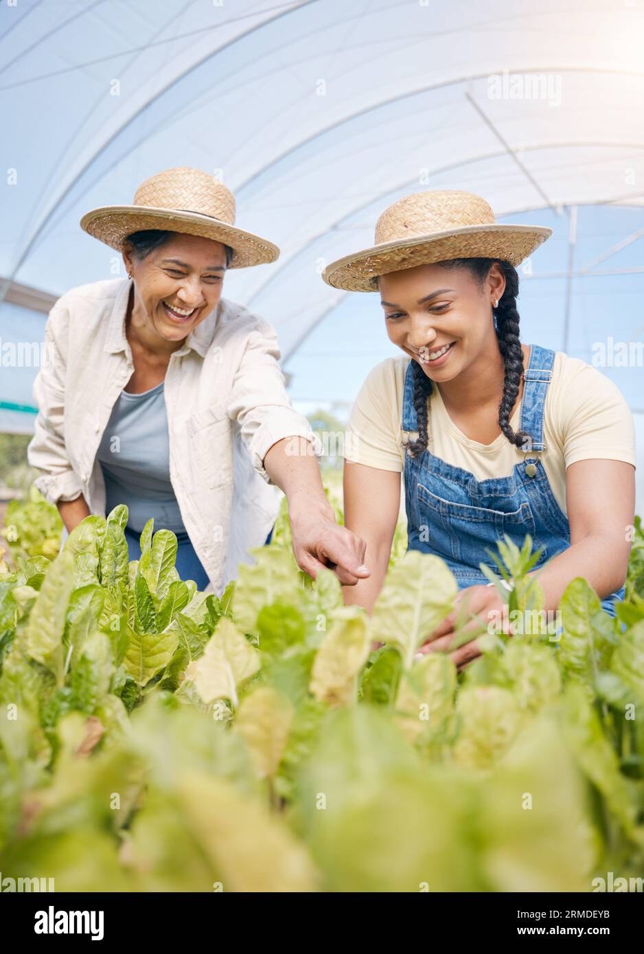 Agriculture, farming and women talking of plants in greenhouse for sustainability. Happy people ...