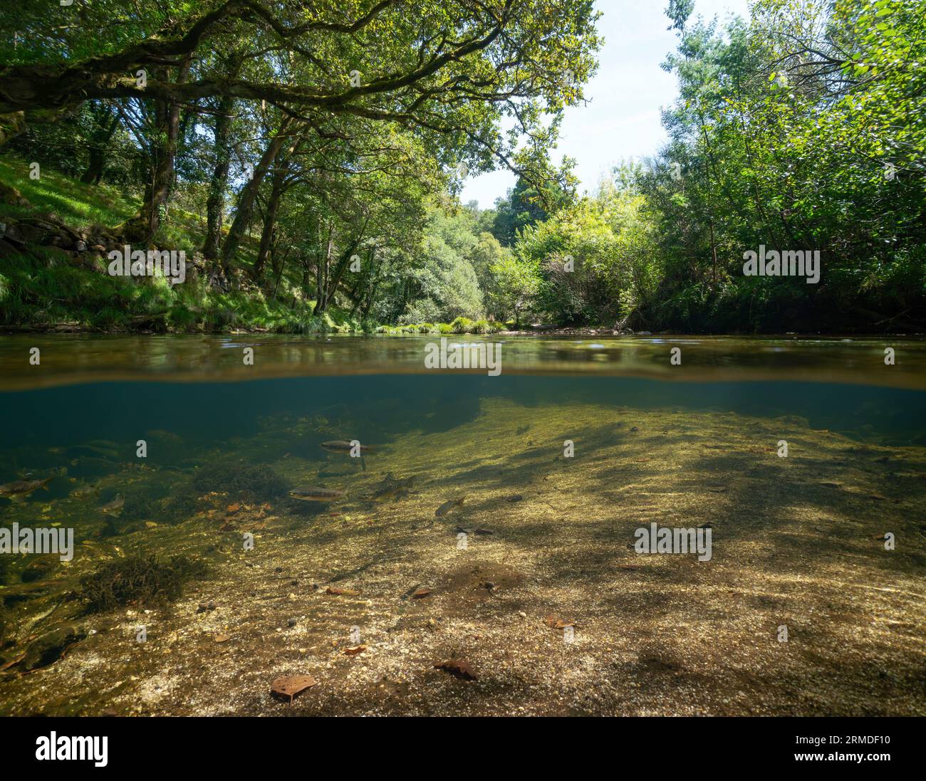Underwater photo river hi-res stock photography and images - Alamy