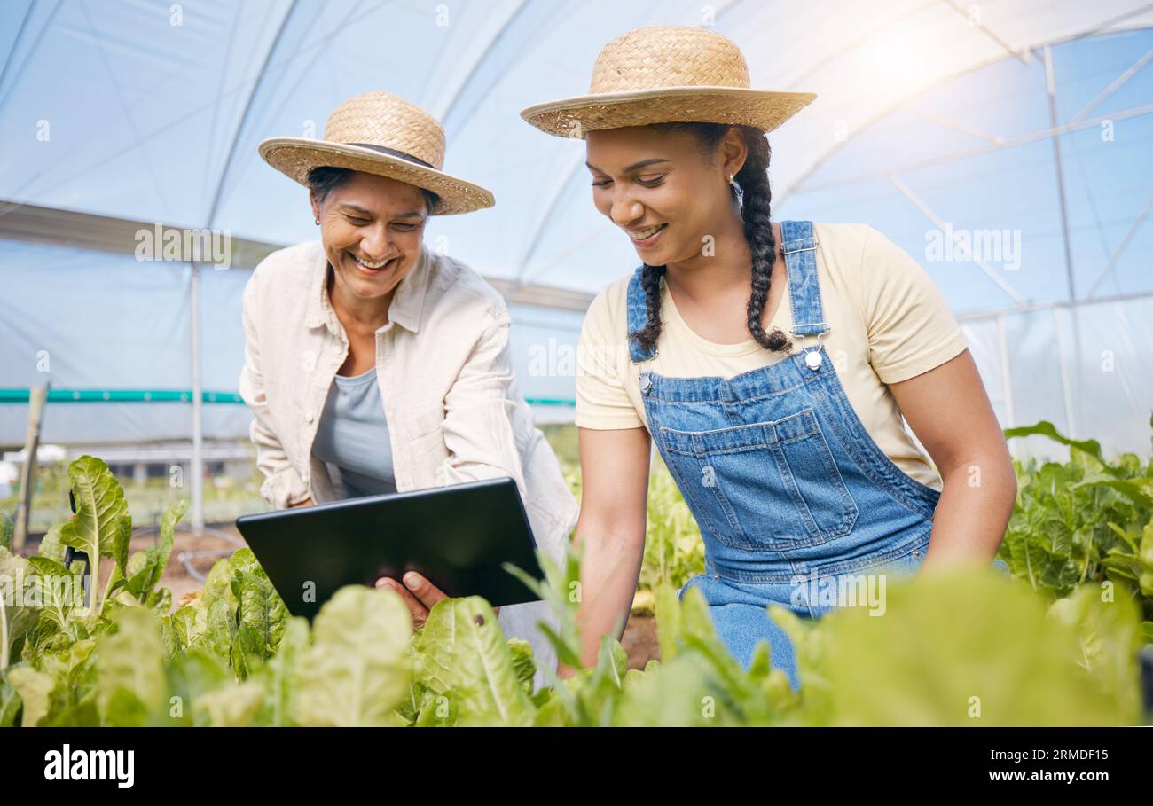 Teamwork, agriculture and women with a tablet in a greenhouse for ...