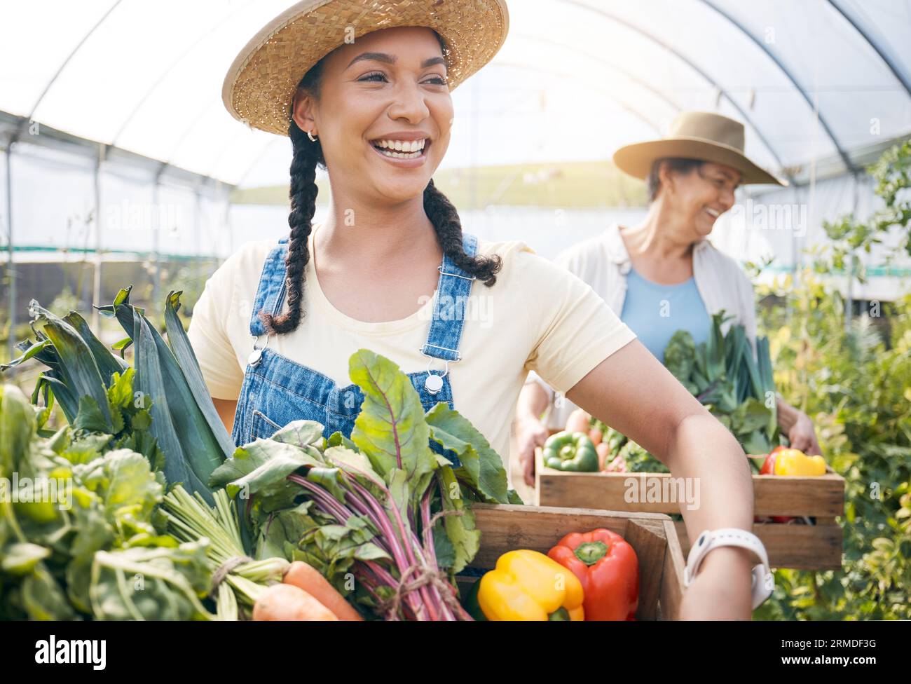 Farming, agriculture and women team with vegetables in a greenhouse for ...