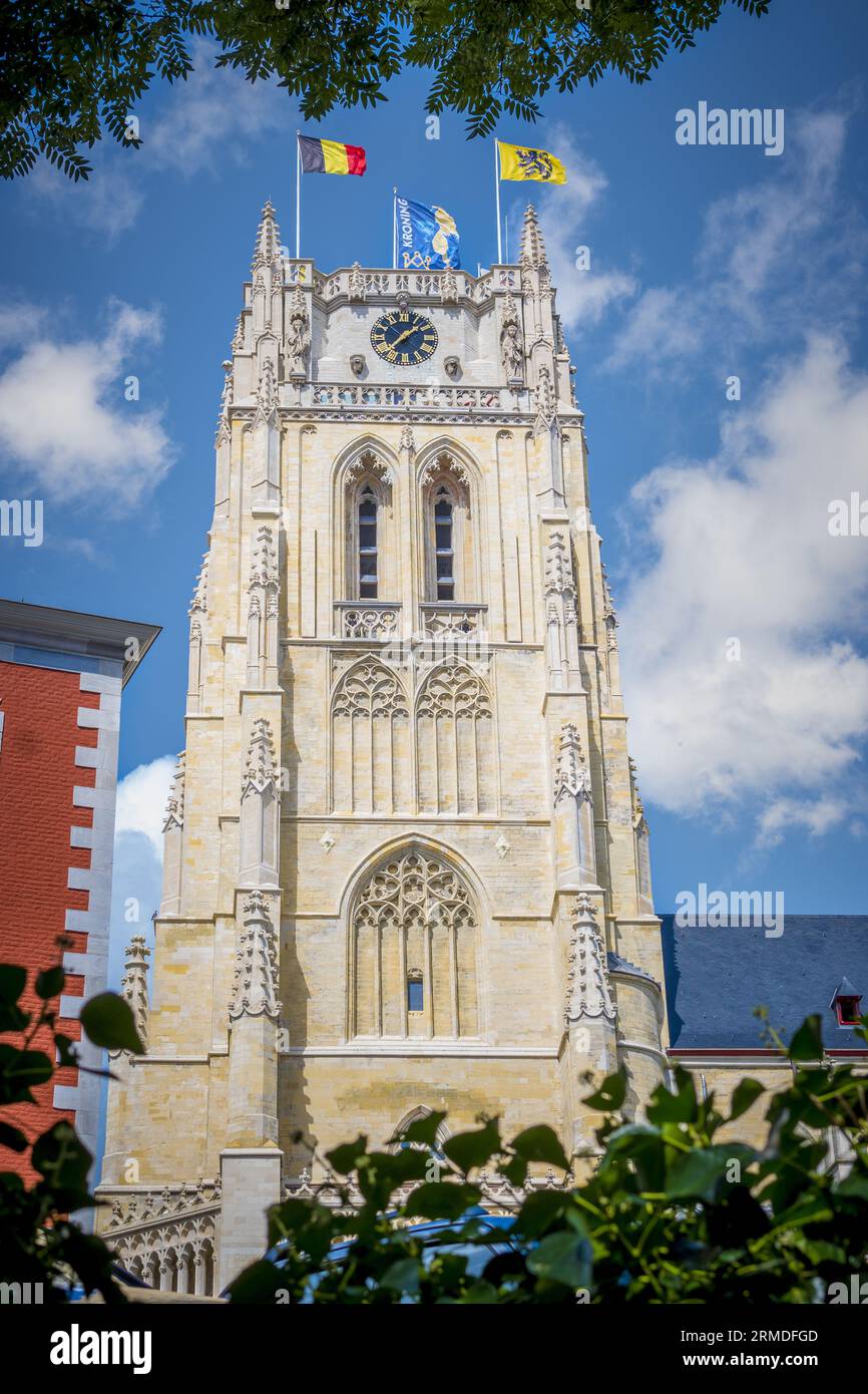 Basilica tongeren hi-res stock photography and images - Alamy