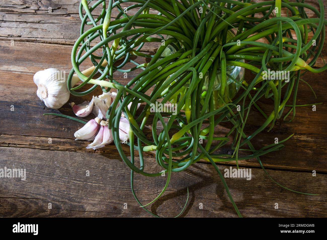 Garlic arrows. A bunch of greens on the table. Vegetable healthy ...