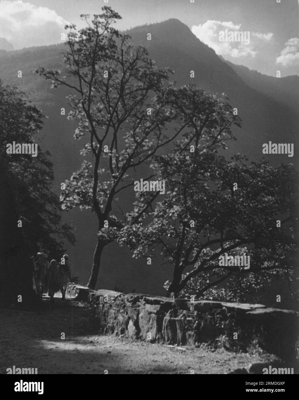 old vintage black and white early 1900s silver gelatin toned print ...