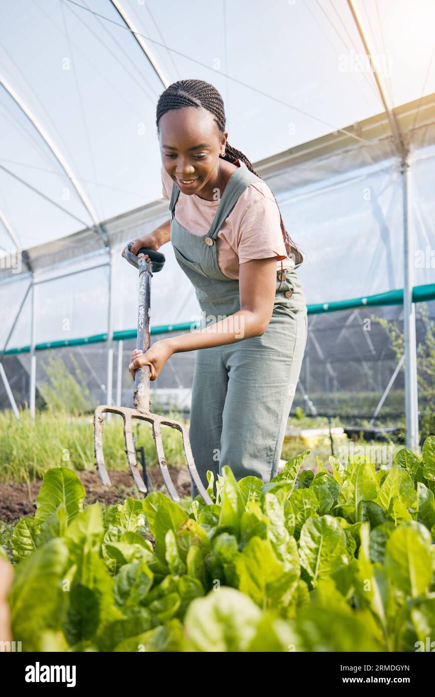 Woman, fork and vegetable gardening for agriculture, sustainable ...