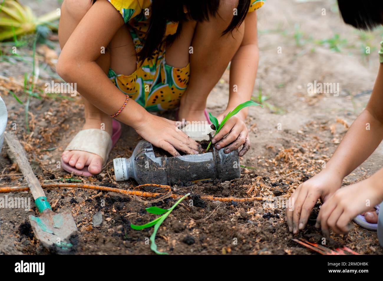 Little girl planting plants in pots from recycled water bottles in the backyard. Recycle water ...