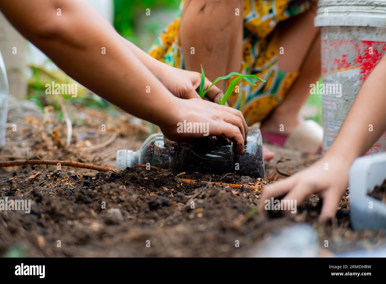 Little girl and mom grow plants in pots from recycled water bottles in the backyard. Recycle ...