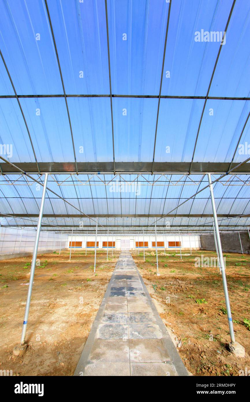 vegetable greenhouse internal structure, Uncultivated land, north china ...