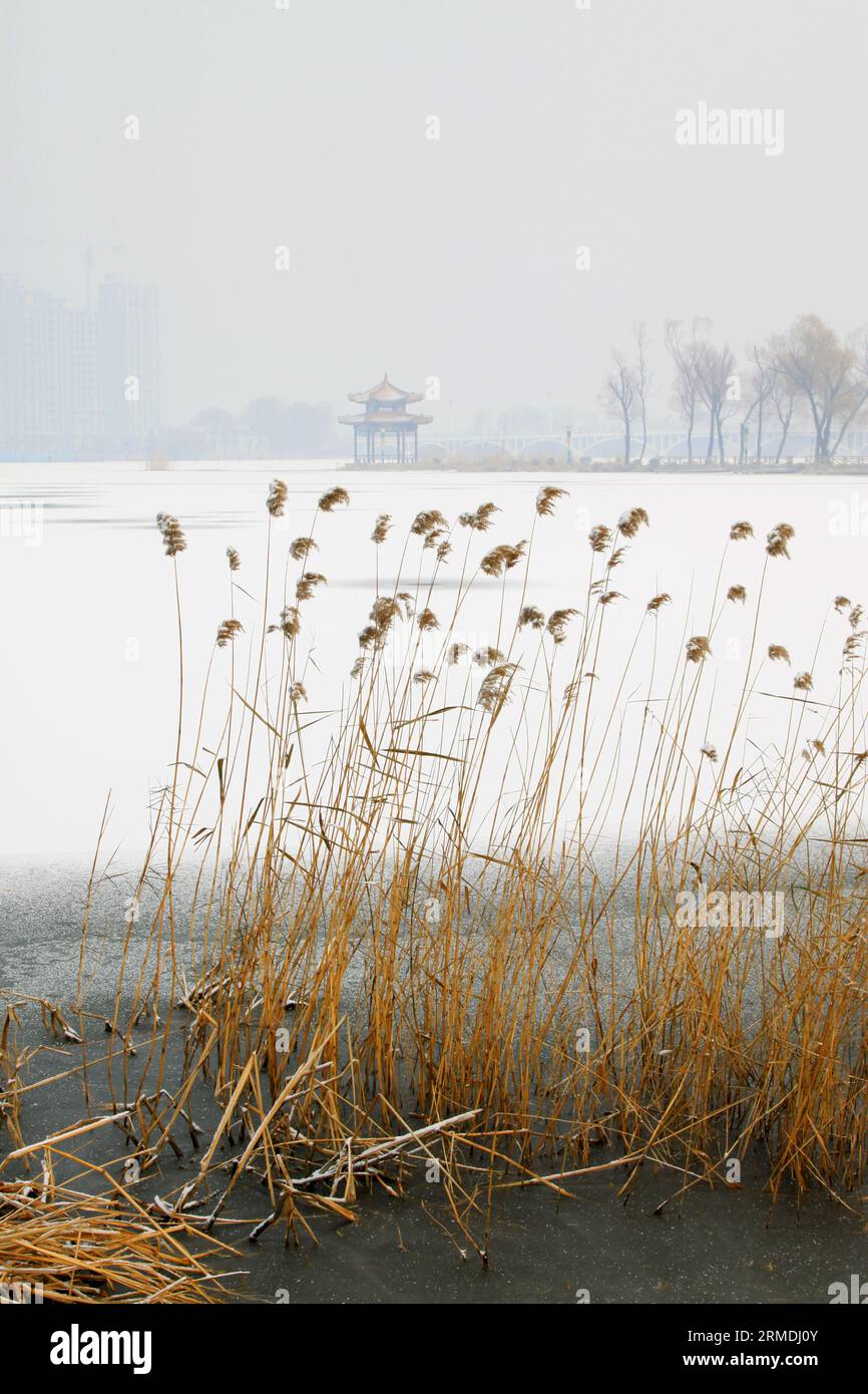 Frozen natural landscape at the side of the river, in winter, China ...