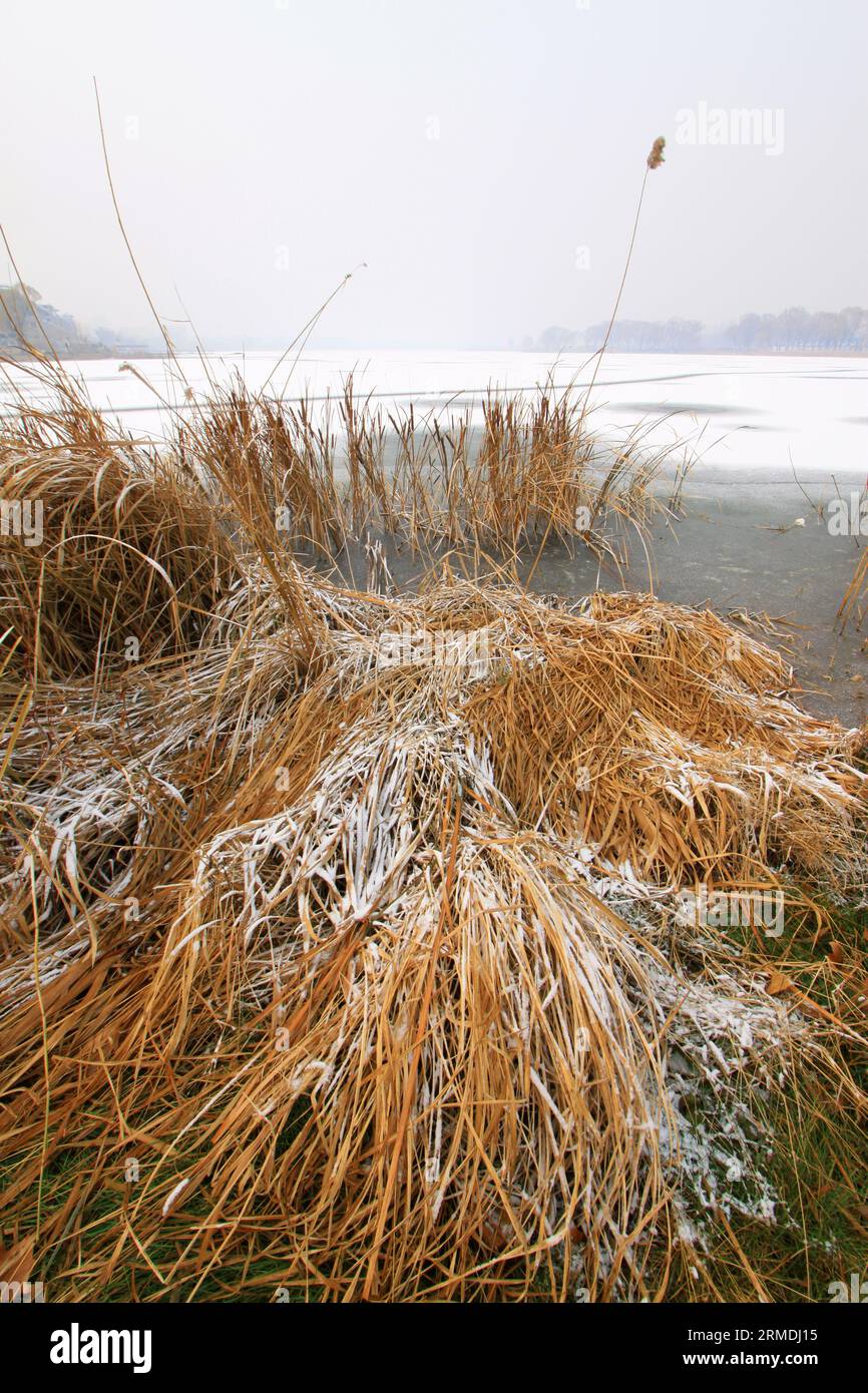 Frozen natural landscape at the side of the river, in winter, China ...