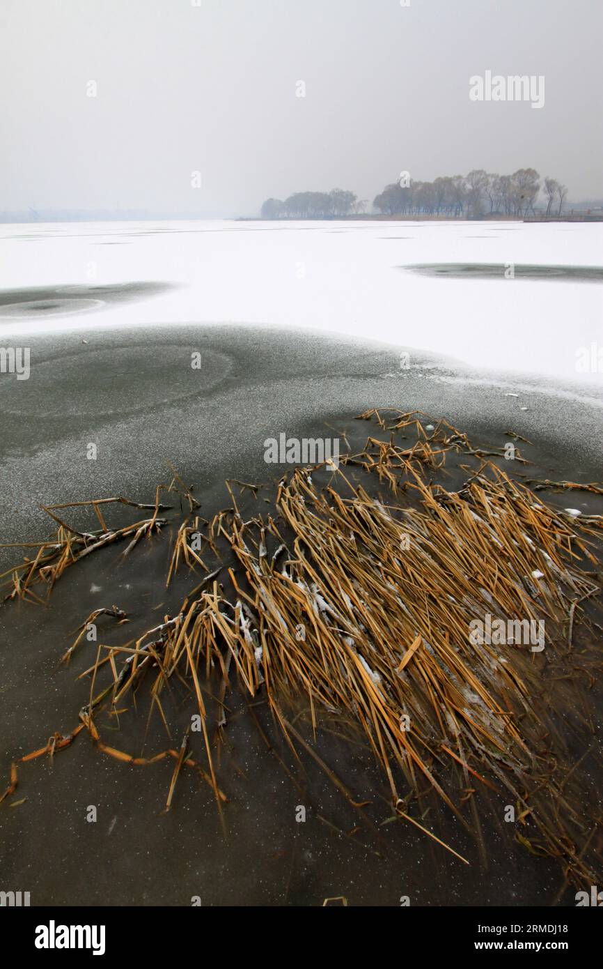 Frozen natural landscape at the side of the river, in winter, China ...