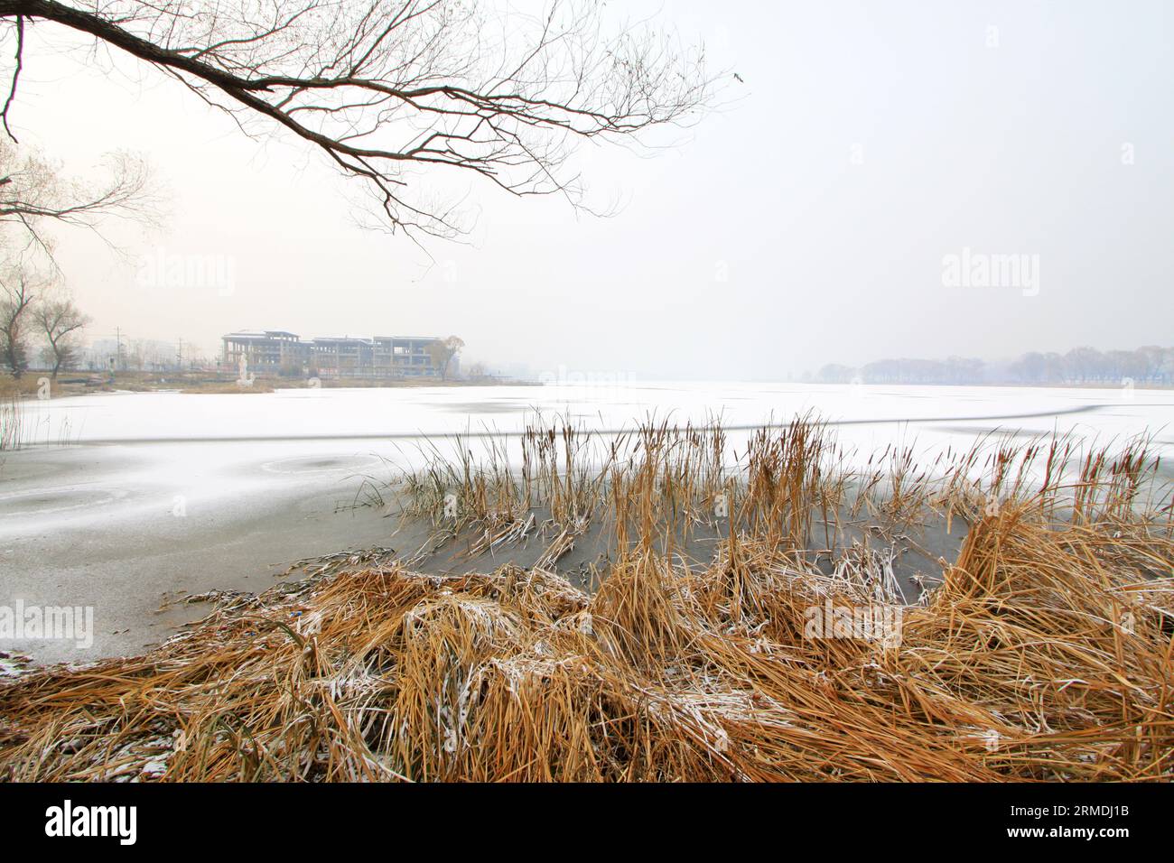 Frozen natural landscape at the side of the river, in winter, China ...