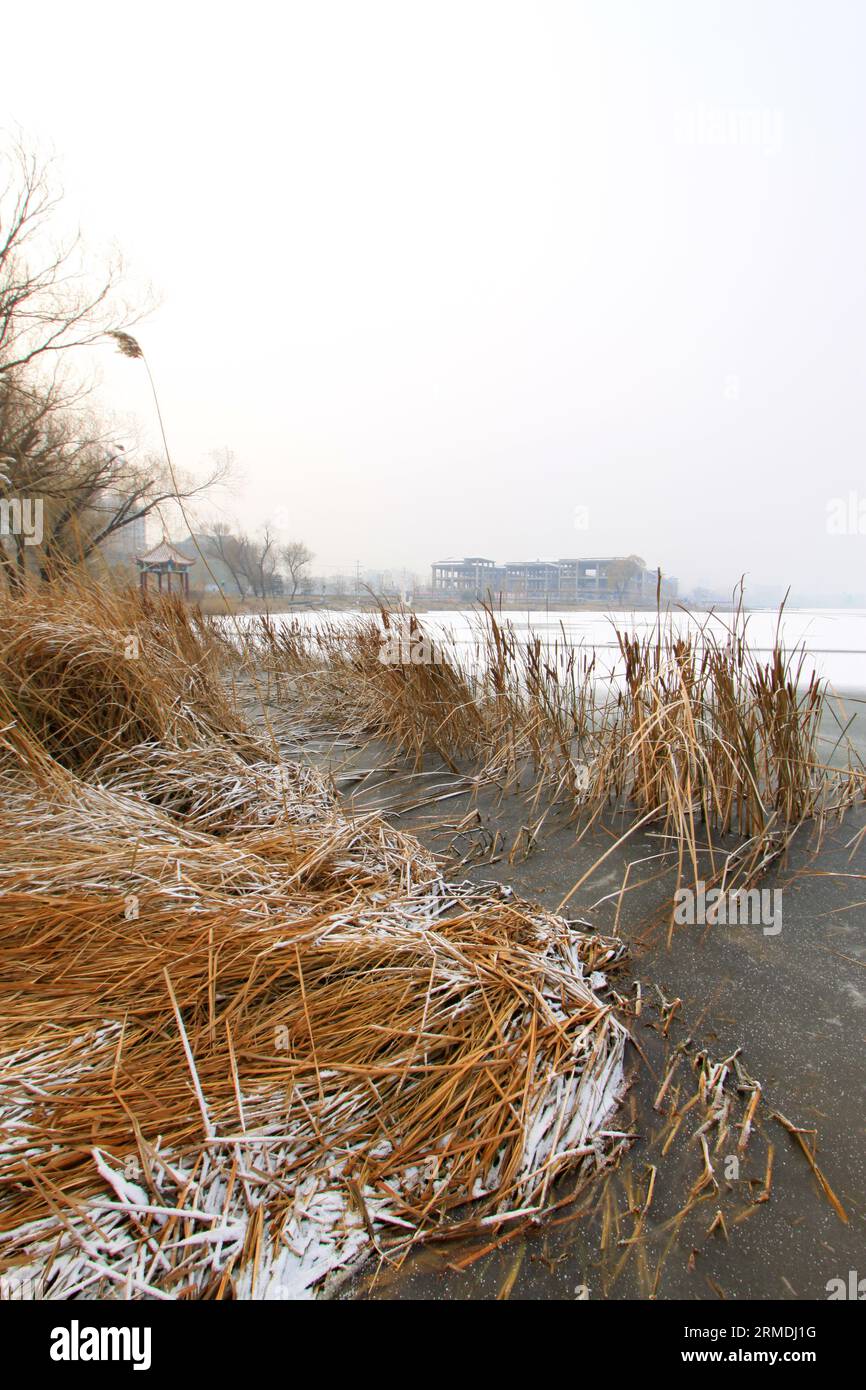 Frozen natural landscape at the side of the river, in winter, China ...
