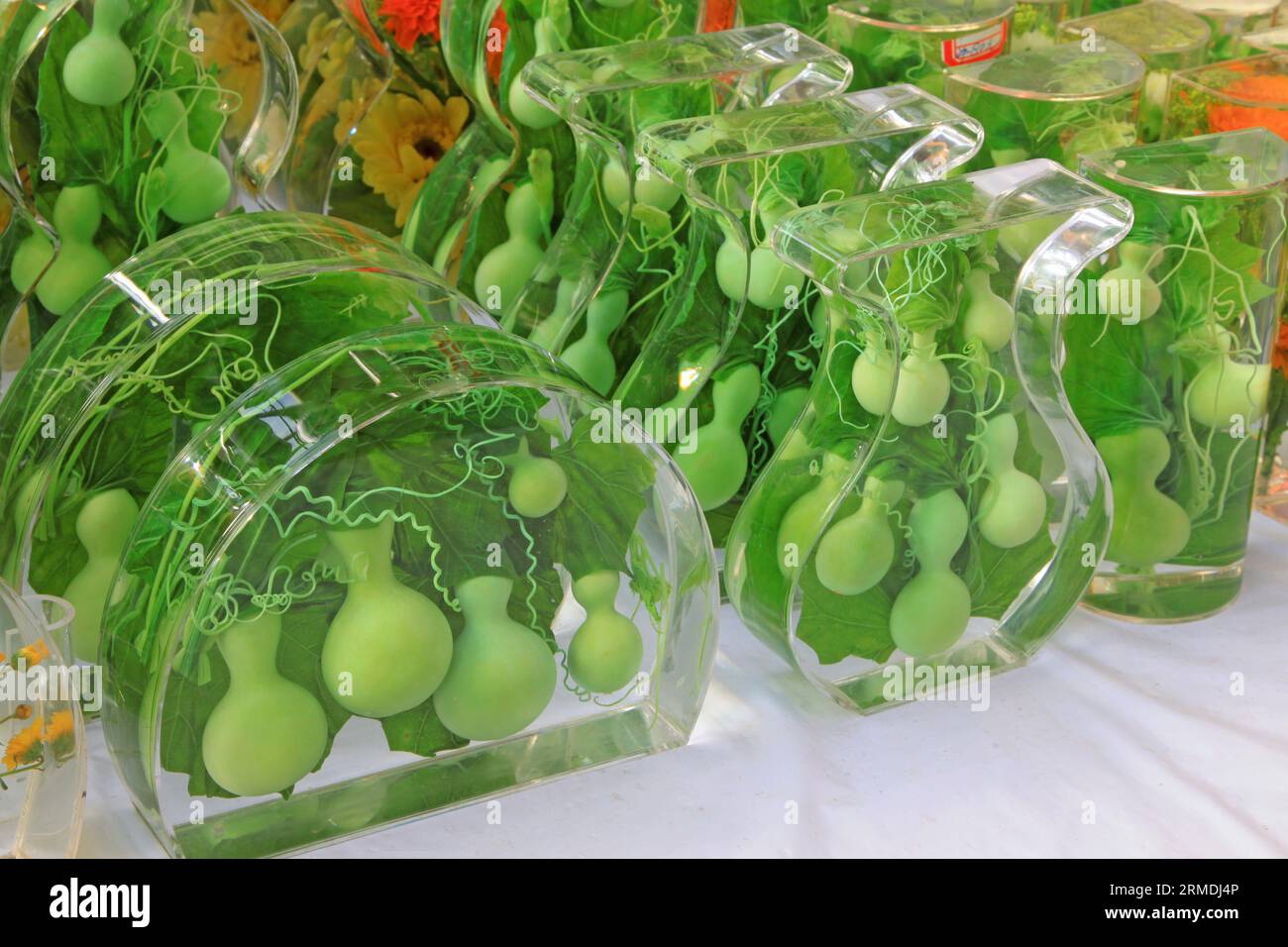 Plant samples hi-res stock photography and images - Alamy