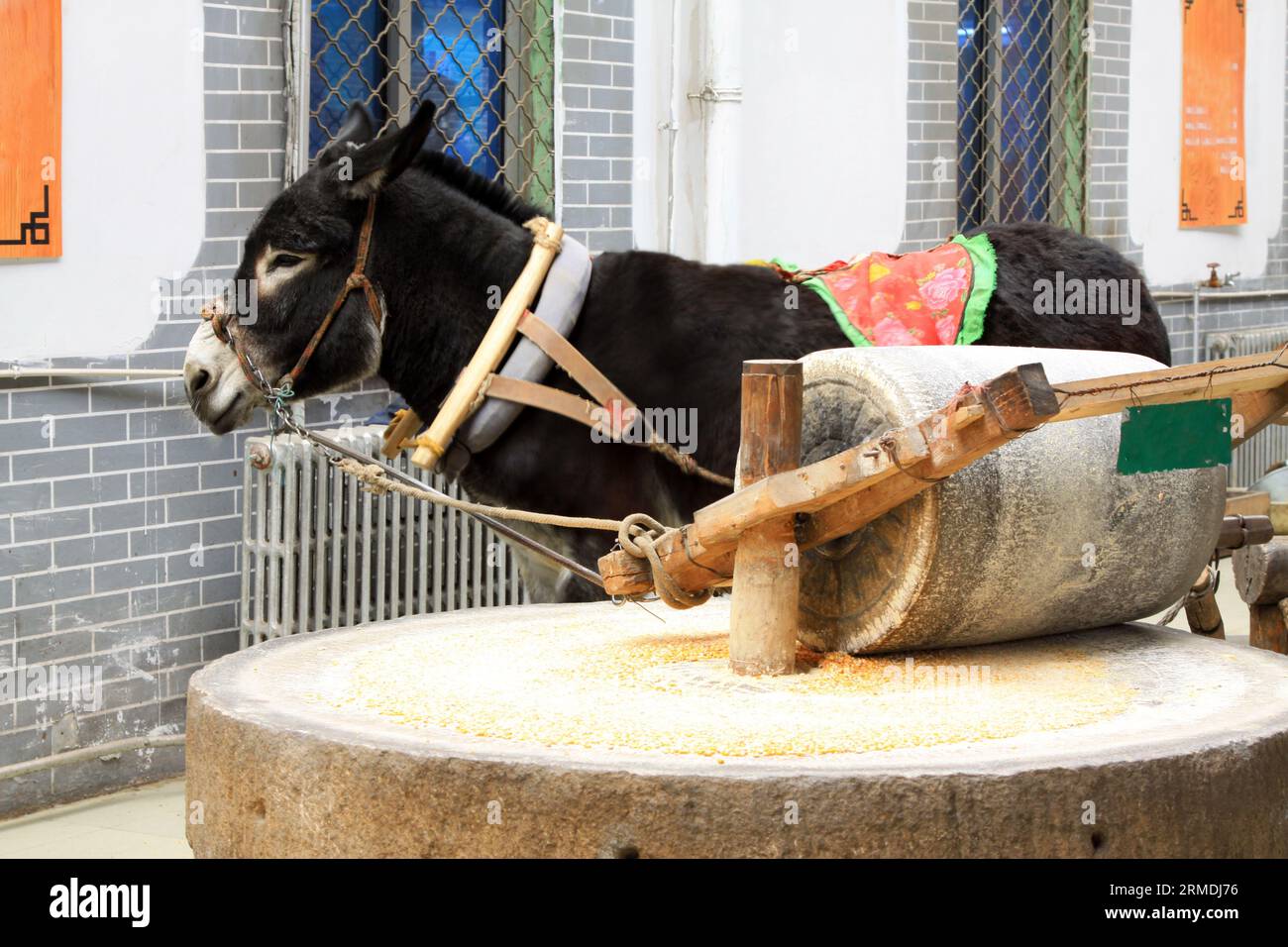 donkeys were pulling the buhr mill working on a farm, China Stock Photo ...