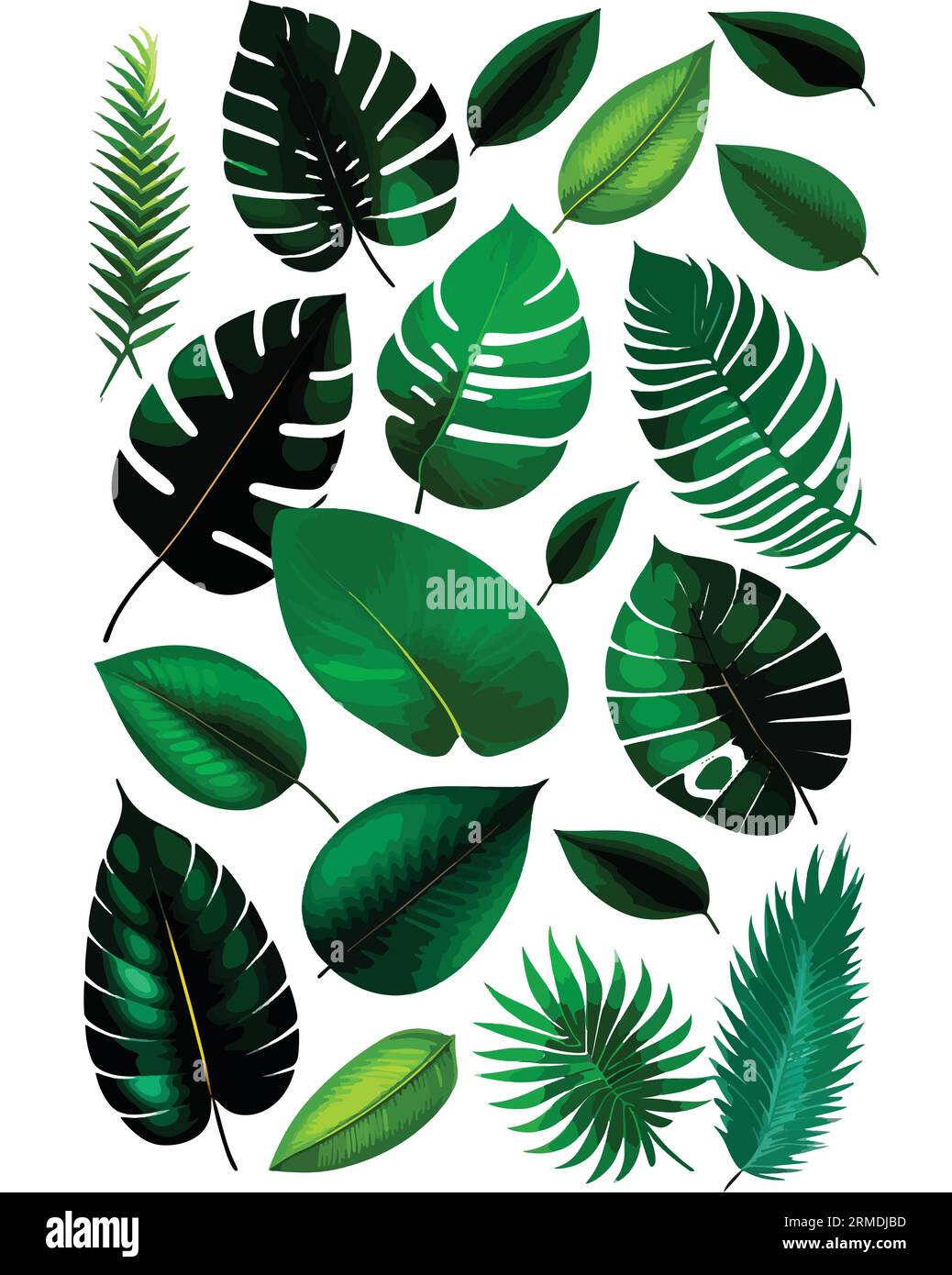 floral frame border vector Stock Vector Image & Art - Alamy floral frame border vector Stock Vector Image & Art - Alamy