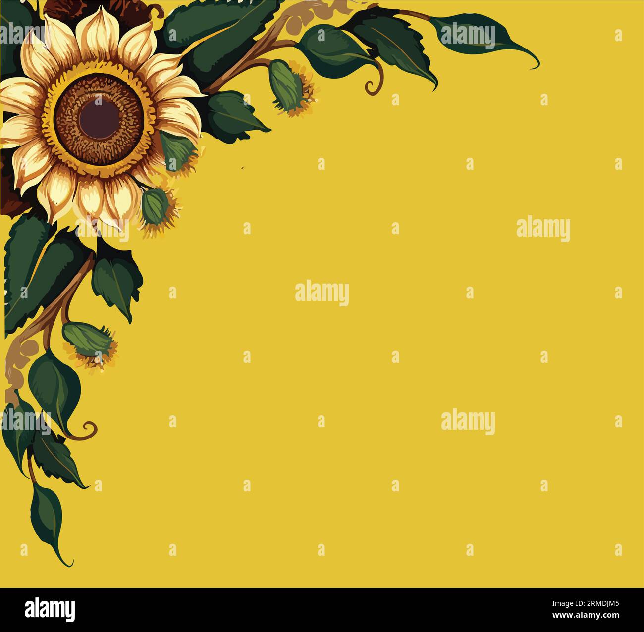sunflower border floral frame Stock Vector Image & Art - Alamy