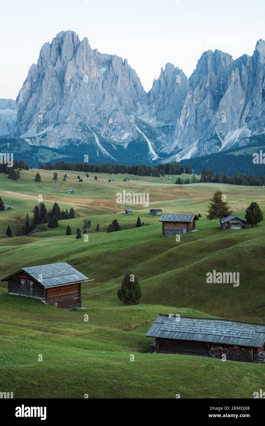 Stunning landscape view of Alpe di Siusi during sunset, Dolomites ...