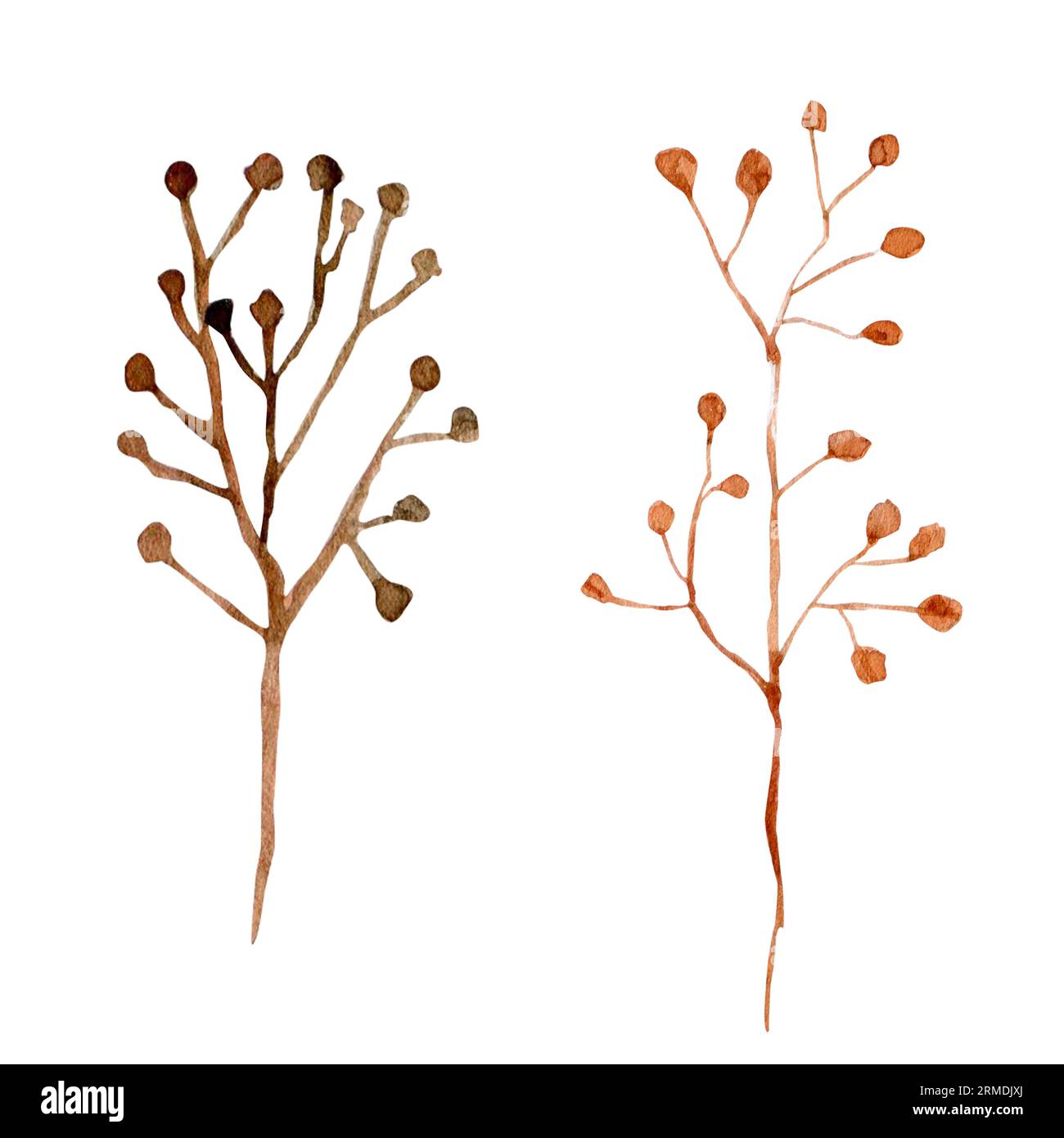 Watercolor isolated illustration set of decorative boho branches ...