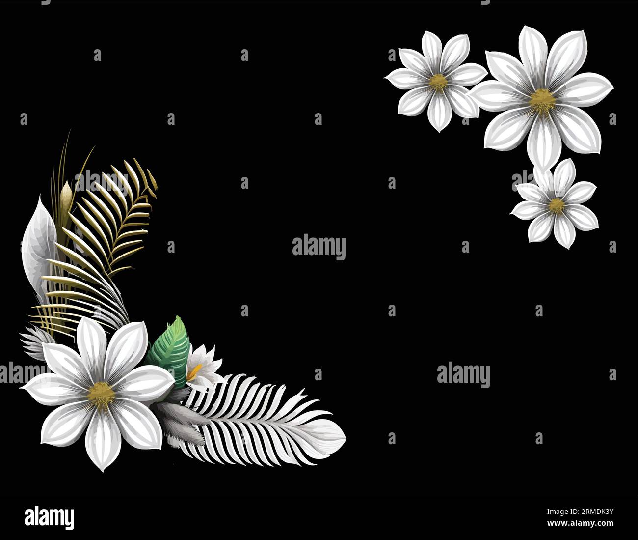 floral frame border vector Stock Vector Image & Art - Alamy floral frame border vector Stock Vector Image & Art - Alamy