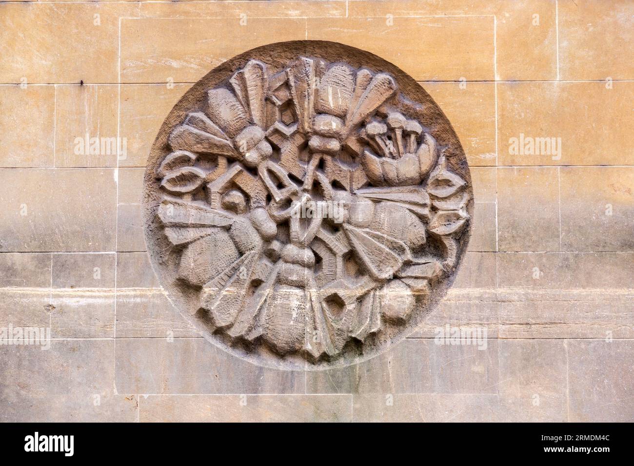 Medieval wall engraving with bees and flowers in a circular composition ...
