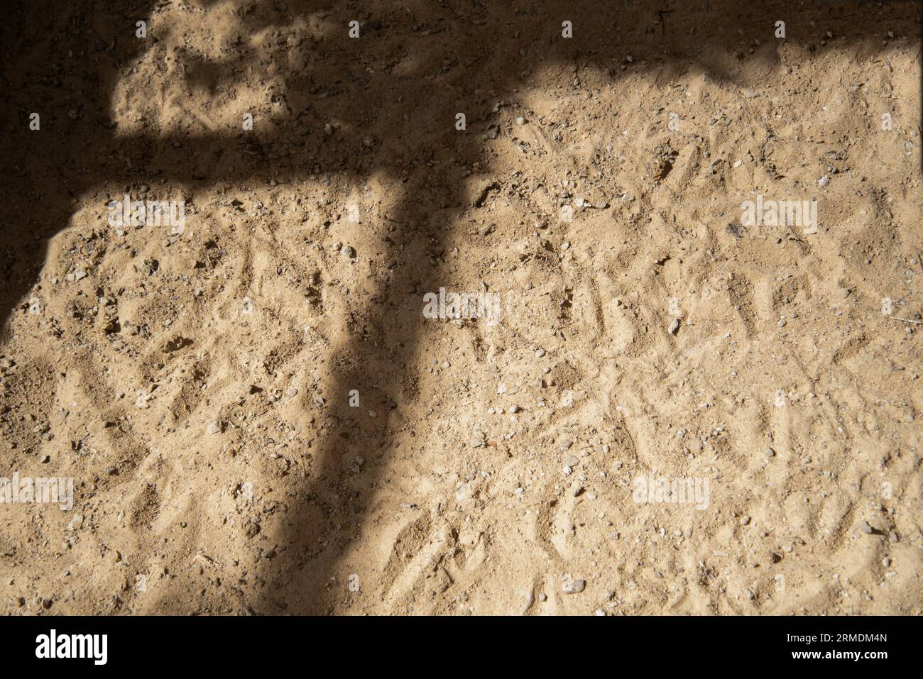 sand floor texture Stock Photo - Alamy