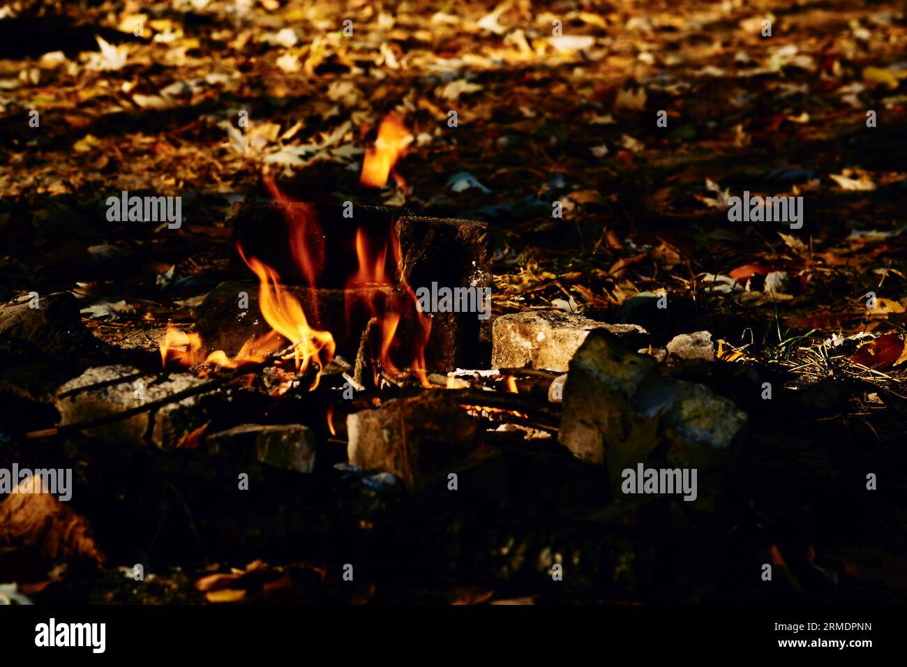 Forest bonfire for grilling, barbecue lined with bricks in an autumn ...