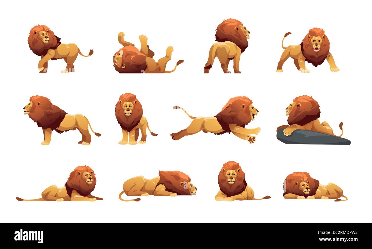 Lion collection. Cartoon male jungle cats in different poses, cute big ...