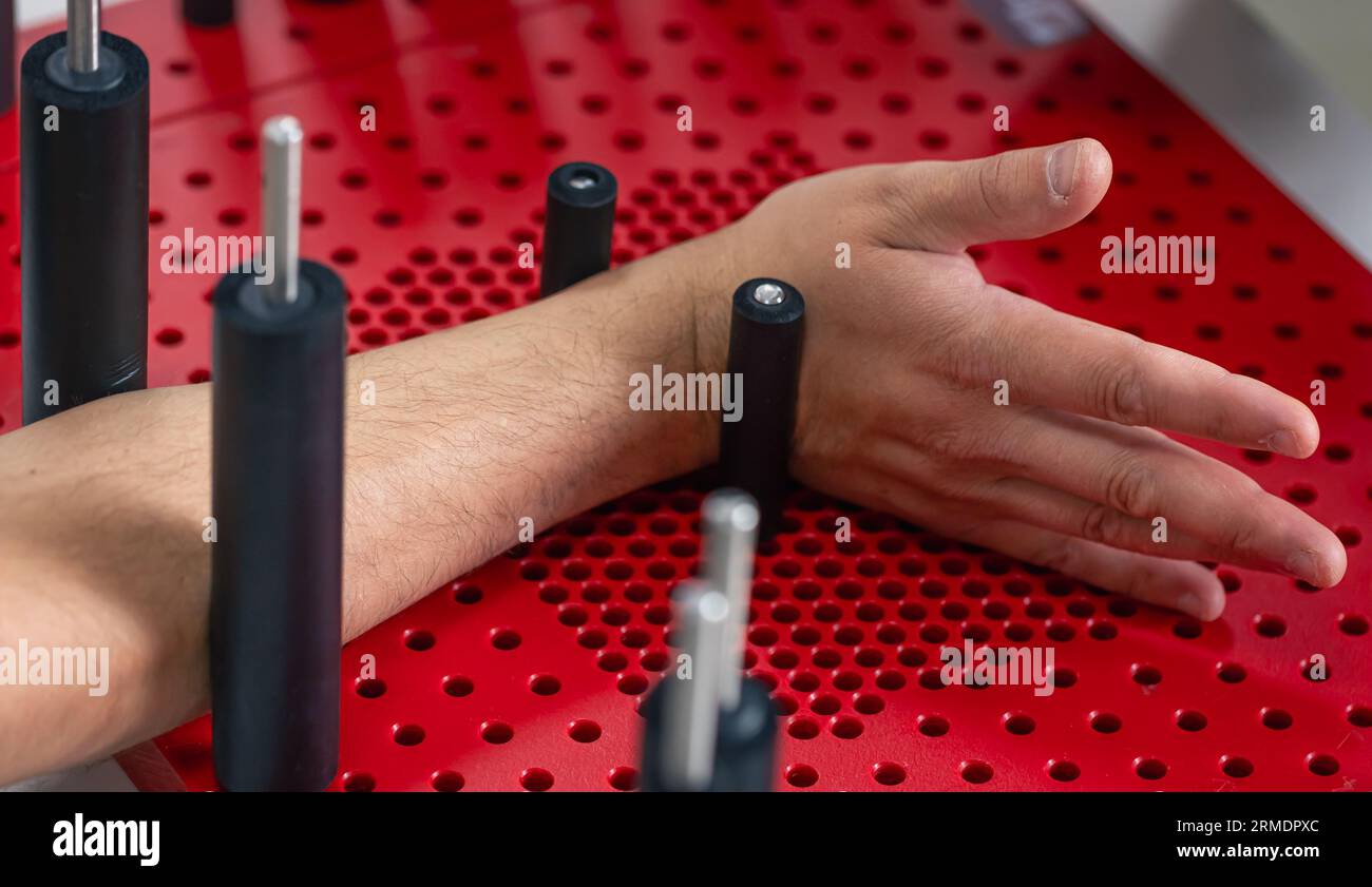 Development of movements of the radial wrist joint on a functional ...