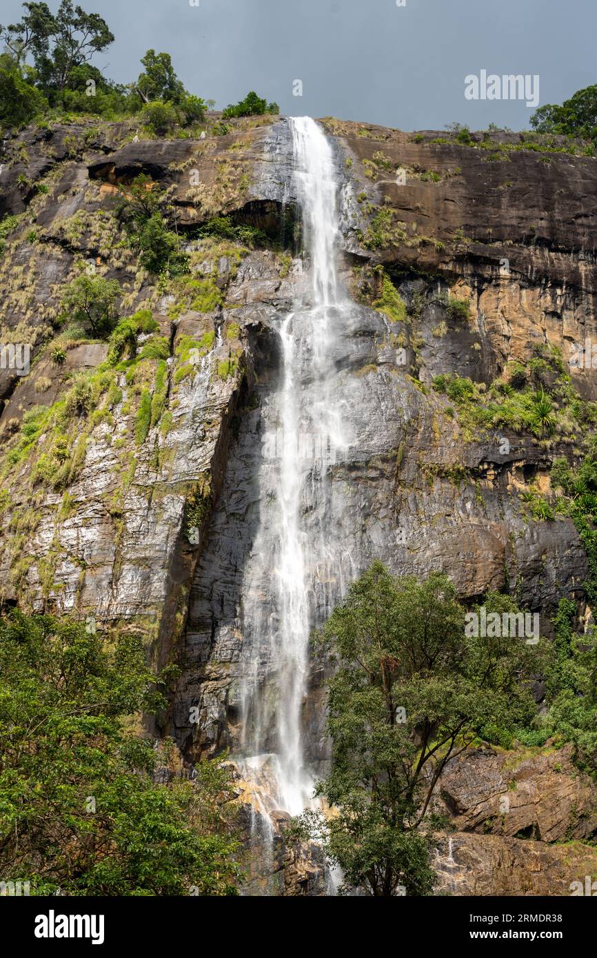 Stunning Photo of Diyaluma falls Waterfall in jungle of Ella Sri Lanka ...