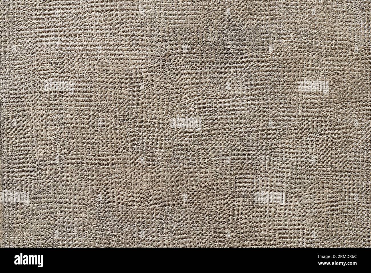 The texture of plaster in a small dot, backdrop Stock Photo - Alamy