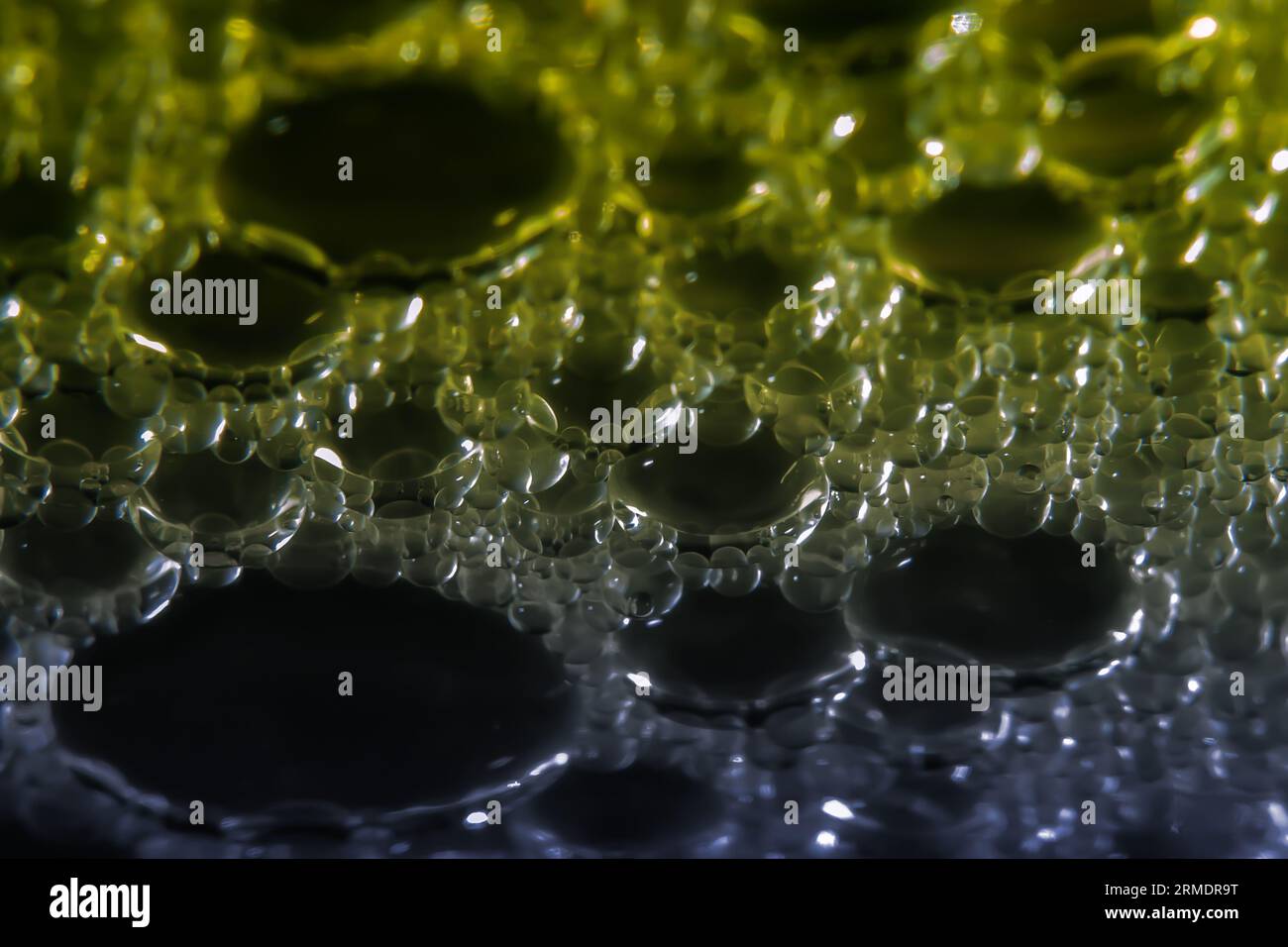 Macrophoto of oil droplets and bubbles on a water surface Stock Photo ...