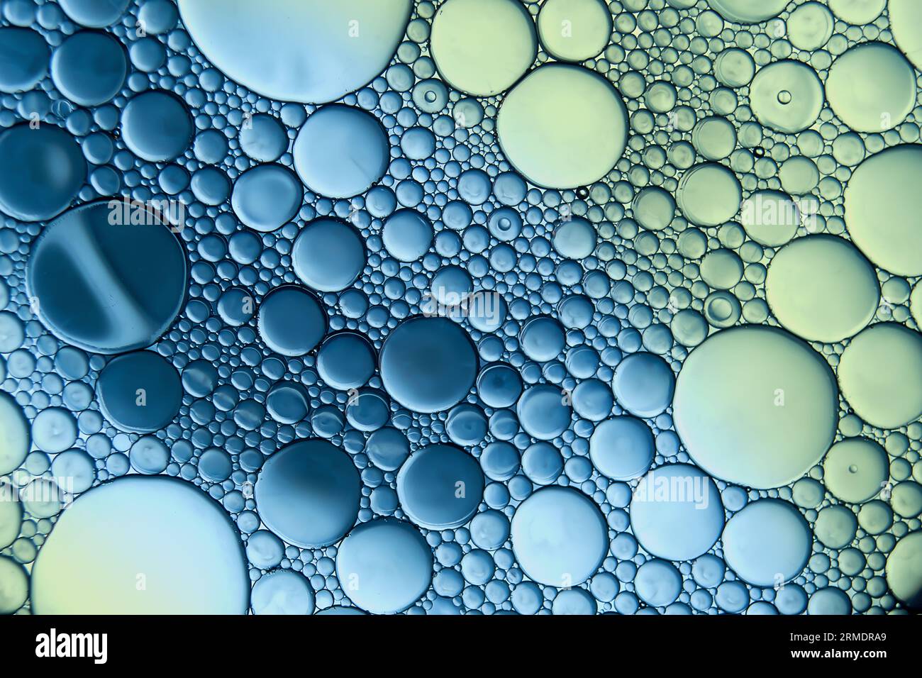 Macrophoto of oil droplets and bubbles on a water surface Stock Photo ...