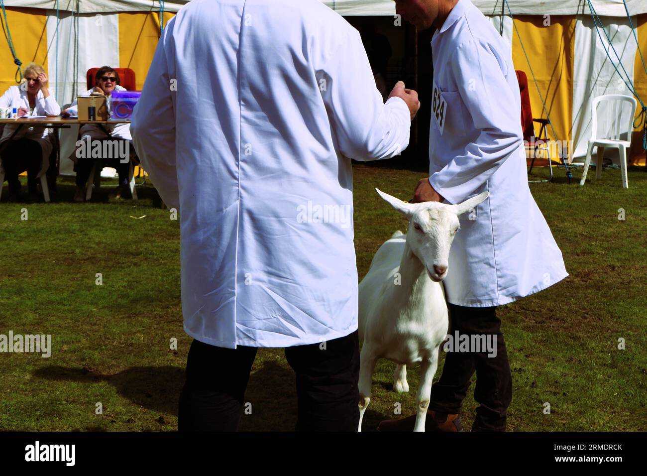 UK farming and agriculture Stock Photo - Alamy