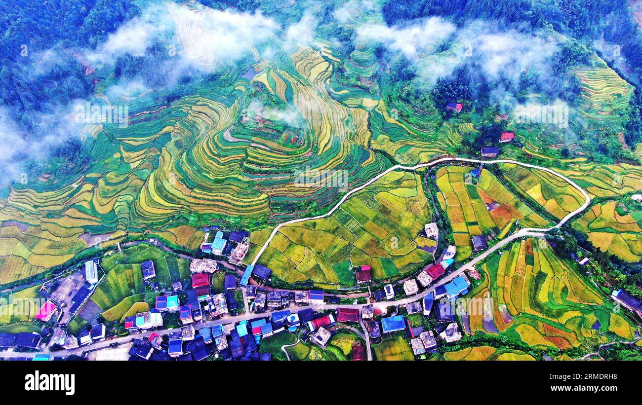 Aerial photo shows the rice paddies in Rongshui Miao Autonomous County ...