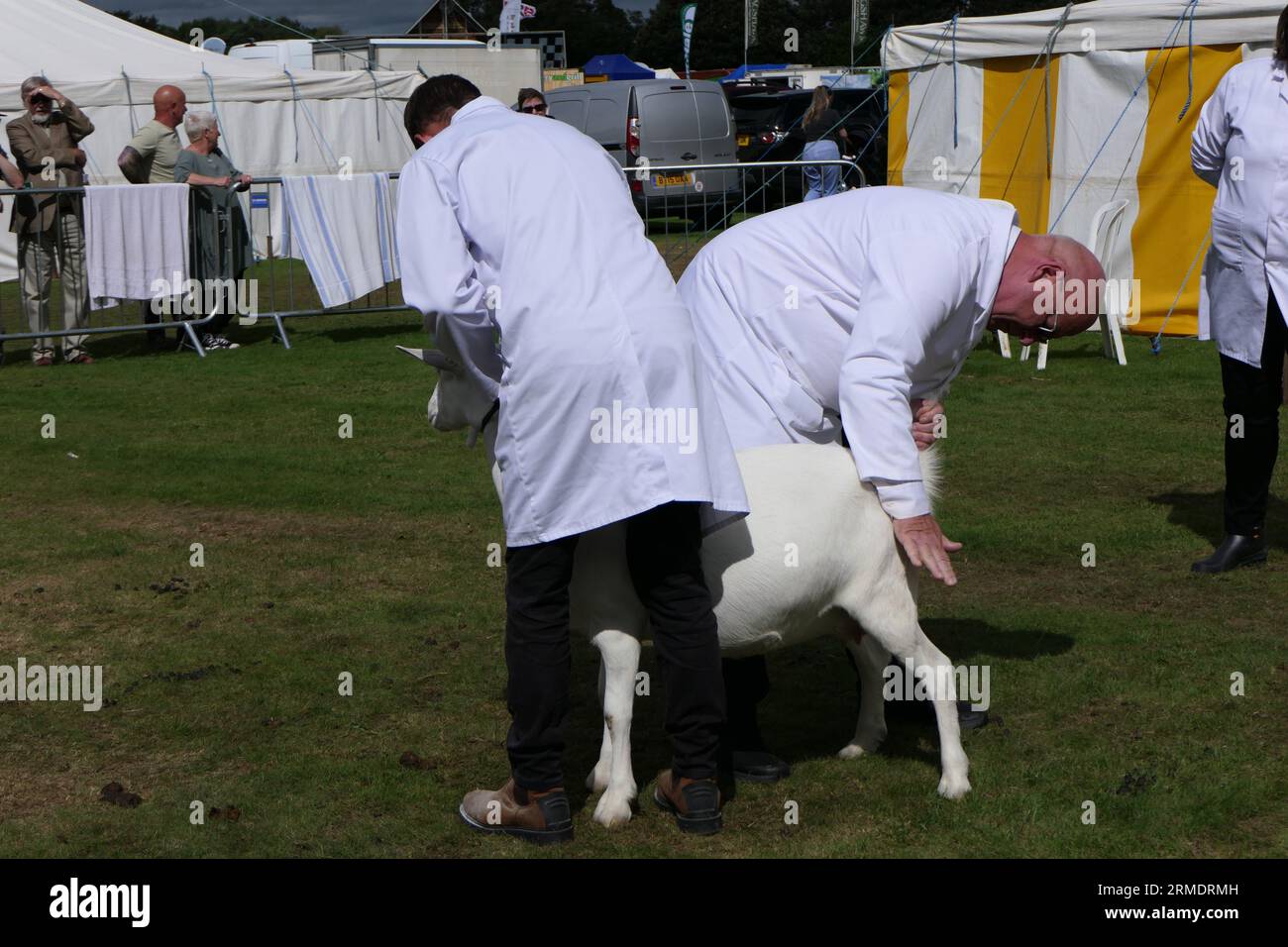 UK farming and agriculture Stock Photo - Alamy