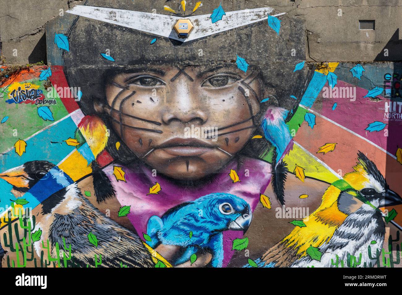 Winetavern Street, Newen Tribute, 2018, @visualagp, Street Art, Belfast ...