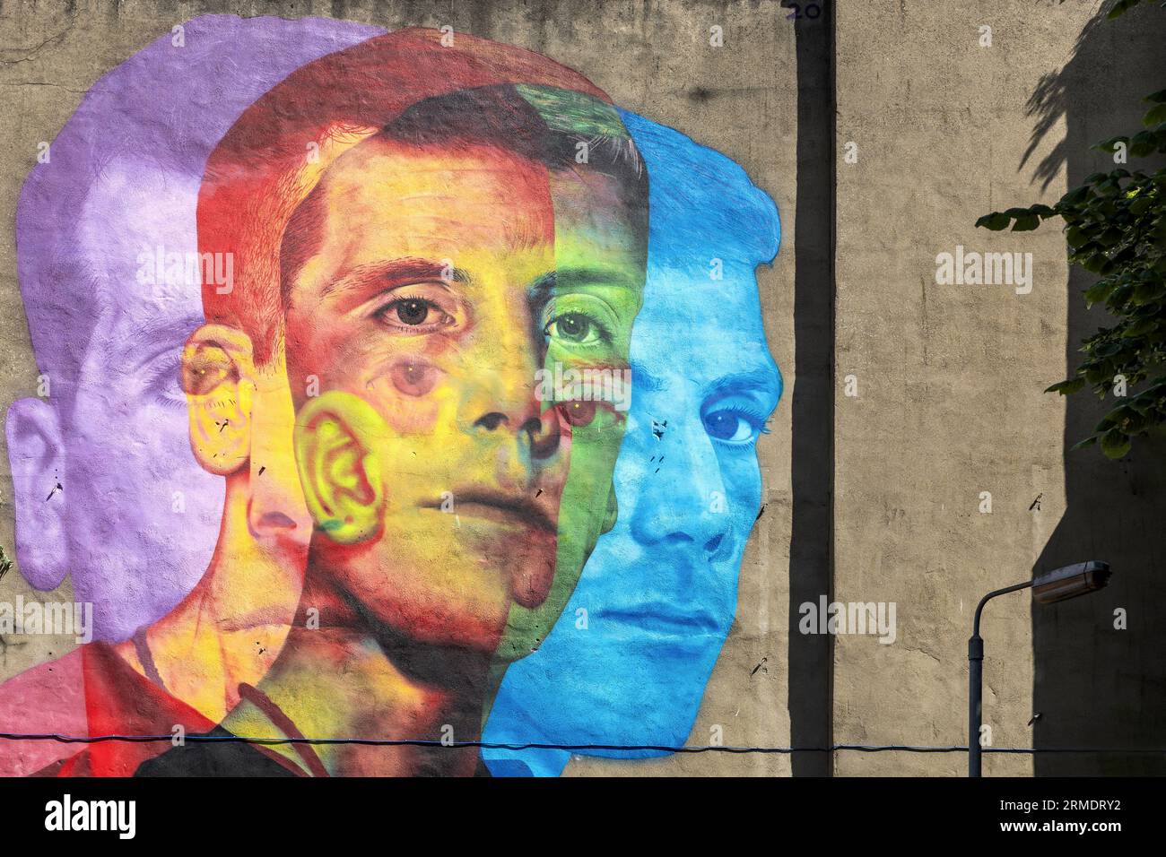 Stephen Considine from BipolarBear Wear in 3D mural: Disruption, Aches ...